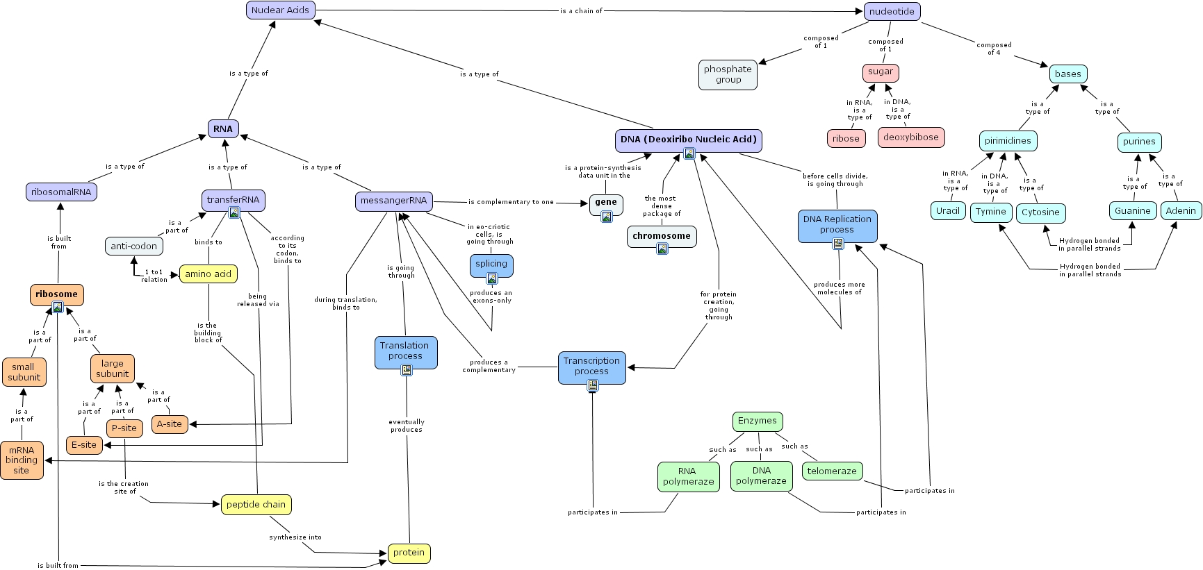 IHMC CmapTools - Concept Map :: DNA Cmap